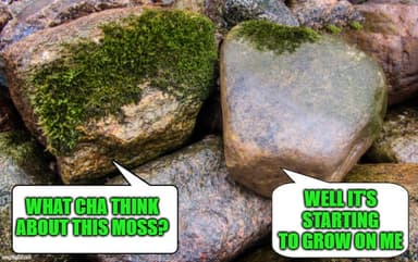 Code Plagiarism Checker - Instant free online code plagiarism checking